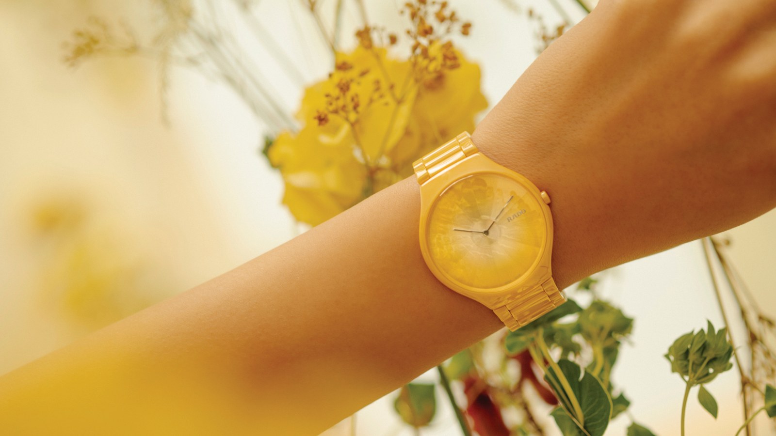 Zachwycające jak pory roku. Rado True Thinline x Great Gardens of the ...